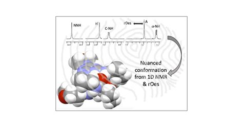 A Model For The Rapid Assessment Of Solution Structures For 24 Atom