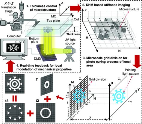 Workflow Of The Proposed Printing Strategy Download Scientific Diagram