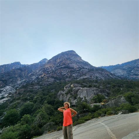 Adjete Vignon Wilson