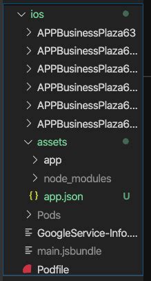 Ios Release Build Error Loading Local Images And Icon Issue Facebook React Native