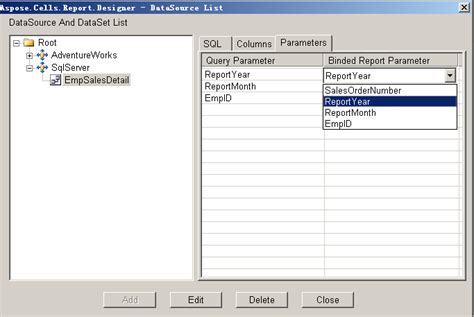 Mapping Query Parameters To Report Parametersdocumentation