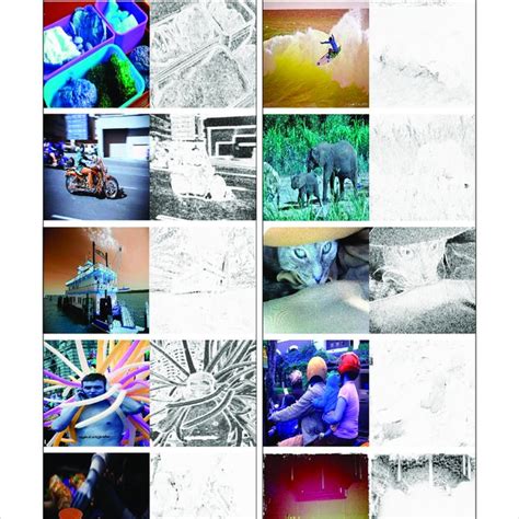 Sample Images Taken From Coco Stuff Dataset Caesar Et Al 2018 Download Scientific Diagram