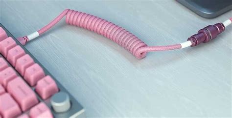 Best Custom Usb Cables For Keyboards Nerd Techy