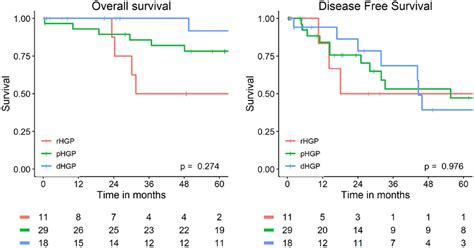 Overall And Disease Free Survival Per Predominant Hgp Group Download Scientific Diagram