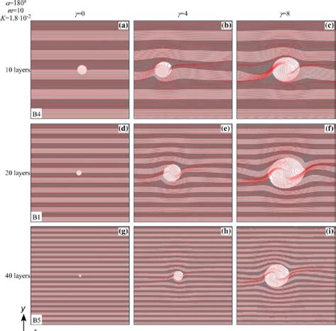 comparison of rotation behaviour and inclusion patterns of growing