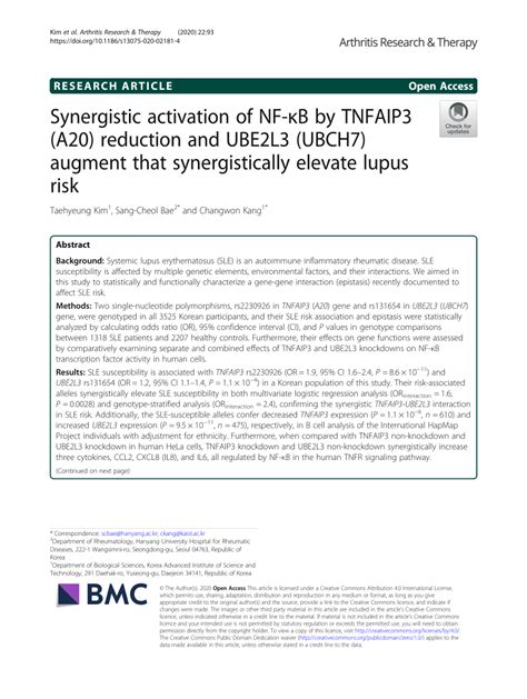 Pdf Synergistic Activation Of Nf κb By Tnfaip3 A20 Reduction And Ube2l3 Ubch7 Augment That