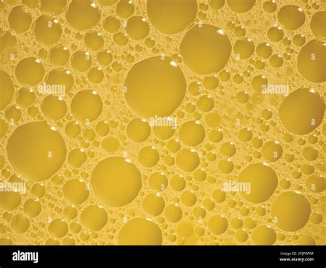 Foamy Urine After Workout At Reynaldo Leahy Blog