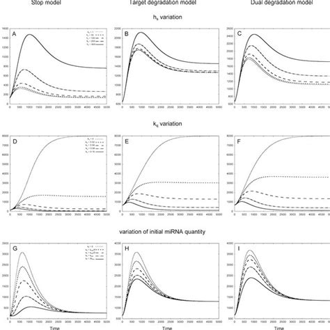 The Incoherent And Coherent Feed Forward Loops Arrows Mean Activation Download Scientific