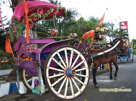 Bendi Adalah Alat Transportasi Tradisional Yang Masih Dipertahankan Di ...