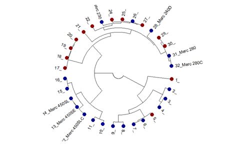 R Show Only Selected Labels In Circular Dendrogram Stack Overflow