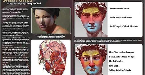 Color Zones Of The Face Album On Imgur