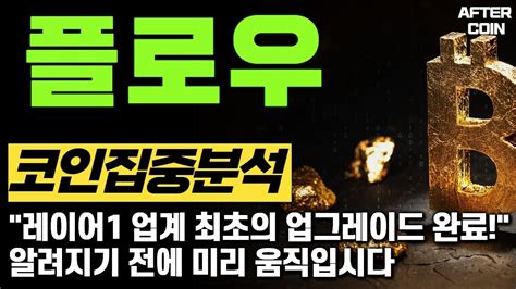 플로우 코인 레이어1 업계 최초의 업그레이드 완료 알려지기 전에 빨리 보세요 플로우코인전망 플로우코인분석 플로우코인호재 플로우코인시세 Youtube