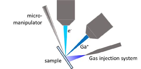 8 Dual Beam Fib Used For Sample Preparation With Micro Manipulator And Download Scientific
