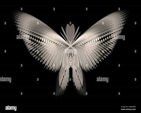 White Moth Flame Fractal Stock Photo Alamy