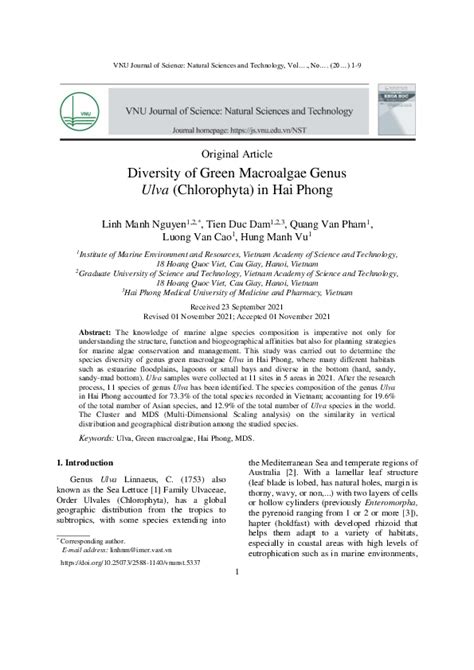 Pdf Diversity Of Green Macroalgae Genus Ulva Chlorophyta In Hai Phong And Potential Uses