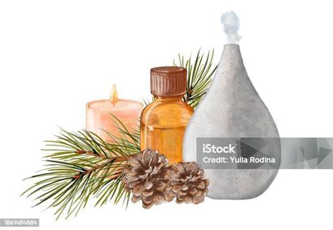 전나무 가지 솔방울 아로마 디퓨저 양초가 있는 에센셜 오일 병 아로마 테라피 건강한 라이프 스타일 스킨 케어 스파 트리트먼트의 개념 손으로 그린 그림 흰색 배경에 고립 된