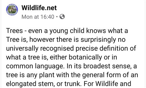 Botany What Is The Botanical Definition Of A Tree Biology Stack Exchange