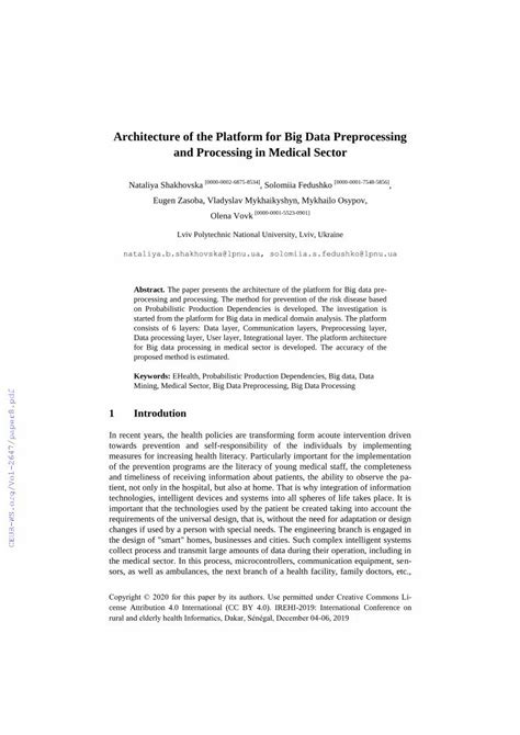Pdf Architecture Of The Platform For Big Data Preprocessing Dokumentips