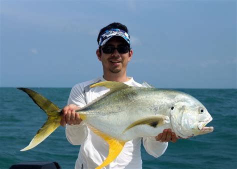 How To Catch Jack Crevalle Tips For Fishing For Jack Crevalle