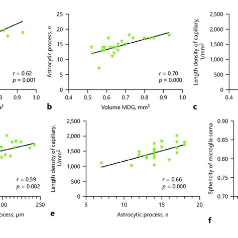 A Significant Correlation Between Morphological Parameters Of