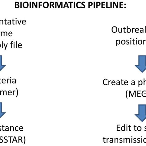 Module Protocol Schematic Download Scientific Diagram