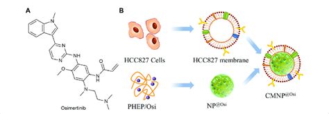 A Structure Of Osimertinib B Synthesis Of Cmnp Osi Download Scientific Diagram
