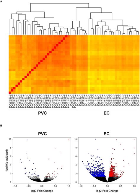Transcriptomics Analysis Was Performed On Rna Extracted From The Ec
