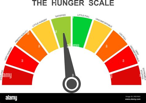 Hunger Scale As Dial Dashboard With Arrow Food Fullness Level Ghrelin