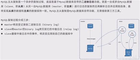 mysql 读写分离 nginx 阿四与你 博客园