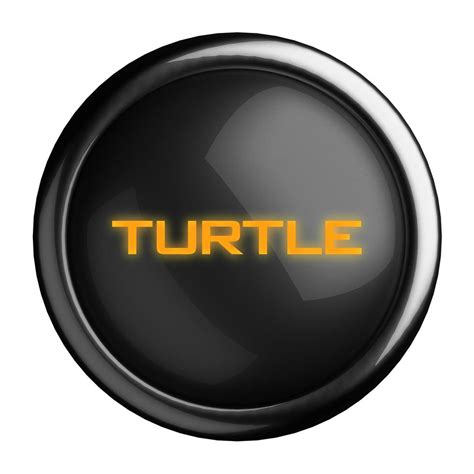 Tutle Stock Photos Images And Backgrounds For Free Download