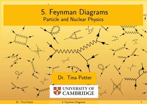 Feynman Diagrams Particle And Nuclear Physics DocsLib