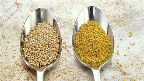 Пшено и пшеница: в чем разница и есть ли отличия, сравнение круп