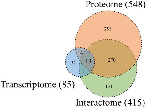 Venn Diagram For The Drug Candidates Identified By The Transcriptomic