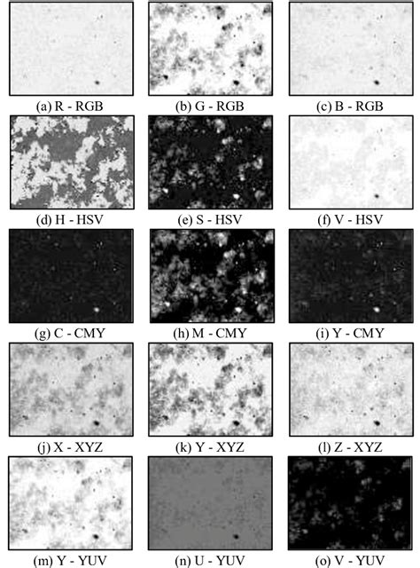 Extract Color Components From Color Models Download Scientific Diagram