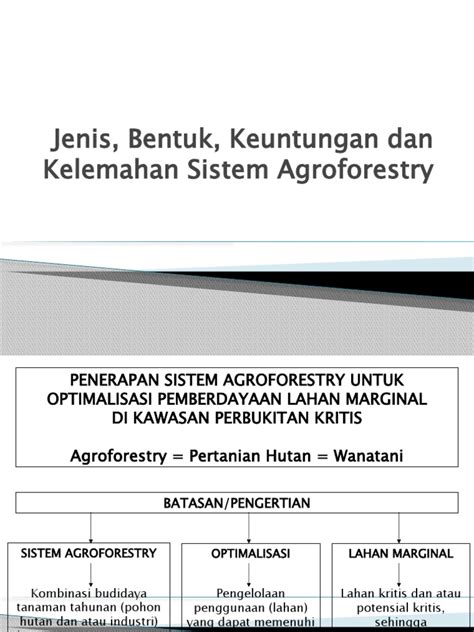 Jenis Bentuk Keuntungan Dan Kelemahan Agroforestry Pdf