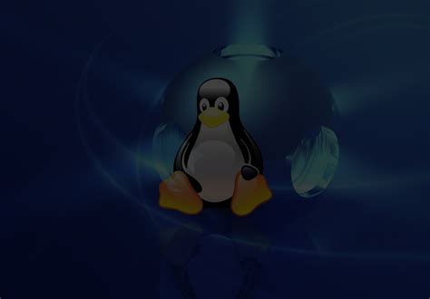 polish linux linux distributions