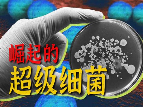 超级细菌到底通过什么手段，躲避抗生素的追杀？ 三个老爸实验室吖 三个老爸实验室吖 哔哩哔哩视频