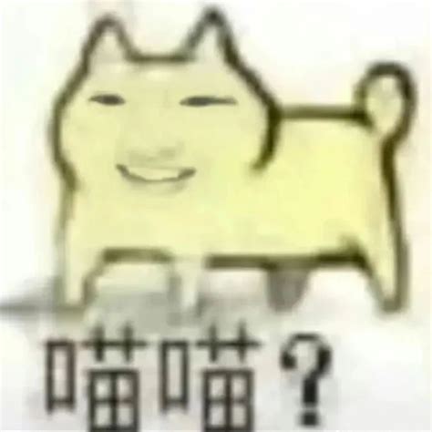 可爱猫咪简笔画配文“喵喵？”，尽显呆萌疑惑 超萌sakuya表情包表情包图片动图 求表情网 斗图从此不求人