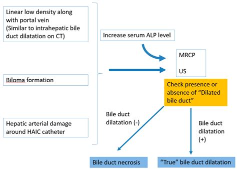 Treat Liver Bile Ducts Treat Liver Bile Ducts