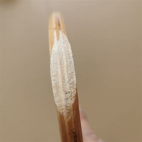 Surf Skate Deck Skateboard Decks 30x95inch Canadi Grandado