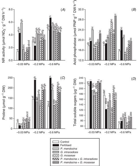 Effect Of Inoculation With Glomus Intraradices Glomus Mosseae And Download Scientific Diagram