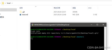 Vscode环境下使用git与github远程操作要点记录vscode Git 远程 Csdn博客 Vscode环境下使用git与github远程操作要点记录vscode Git 远程 Csdn博客