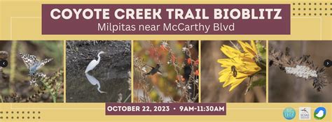 Anyone Recognize The Header Font Ridentifythisfont