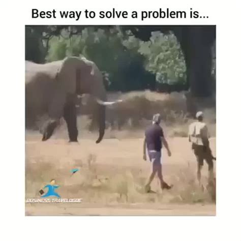 gopal pandey on linkedin the only and best way to solve a problem is by