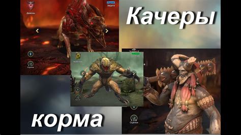 Доступные качеры корма. - YouTube
