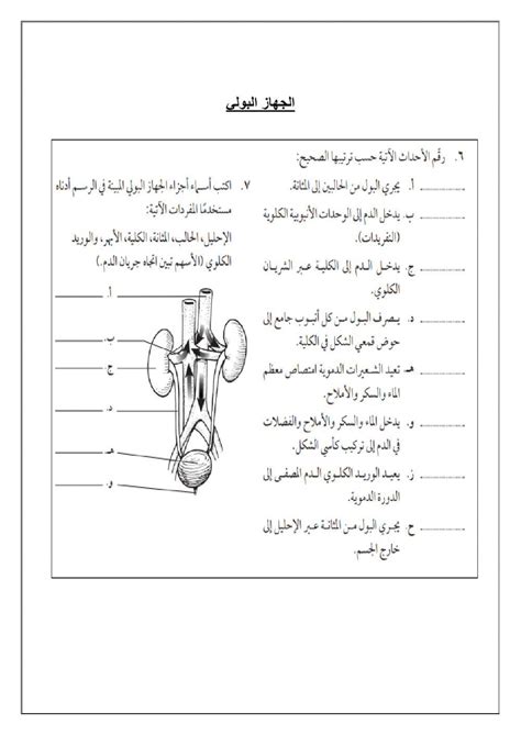 اعضاء الجهاز البولي2 554522 Smsmh Live Worksheets