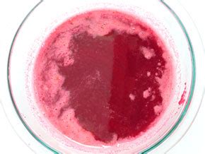 Carrot Beet Juice Recipe Healthy Beetroot And Carrot Juice