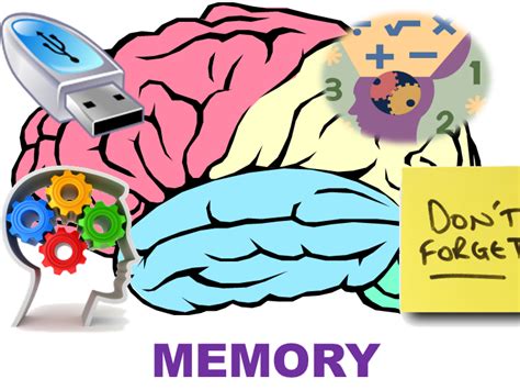 AQA Babe Workbook Memory Teaching Resources