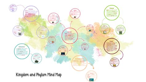 Kingdom And Phylum Mind Map By Samantha T On Prezi