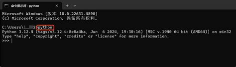 python安装教程（版本3 12 4）windows11（附安装包） python 3 12 4 csdn博客